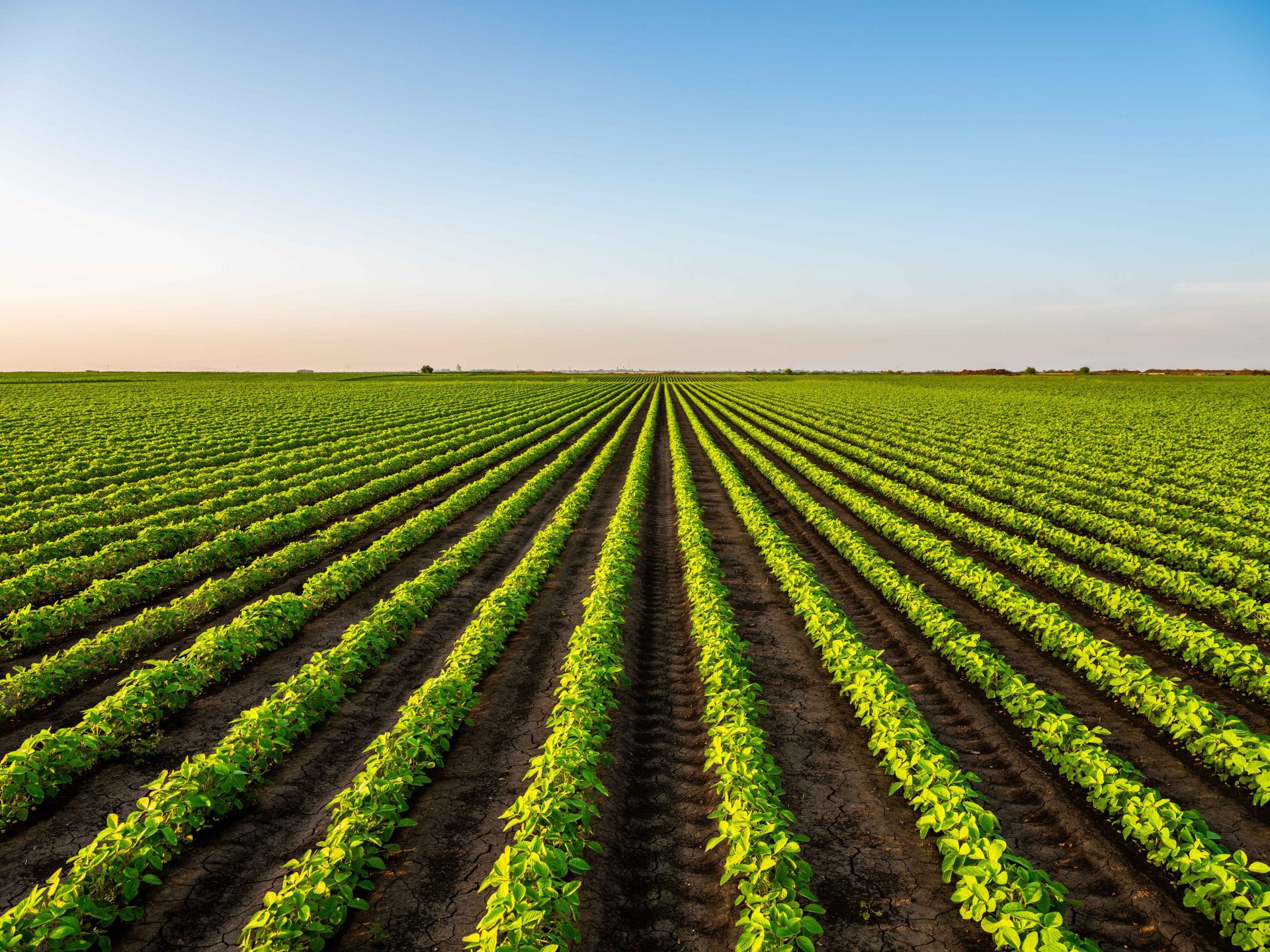 What You Need to Know About Farm Appraisals | Property DNA Group