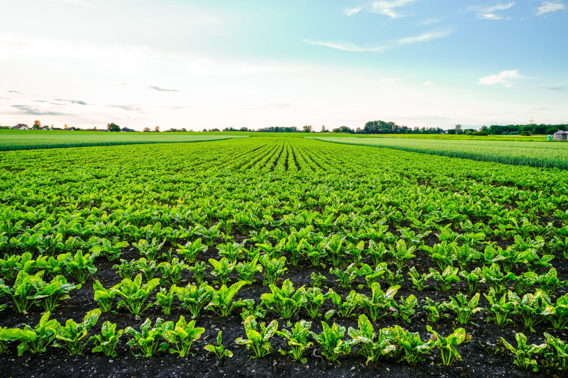 Your Alberta Farmland Appraisal Checklist | Property DNA Group