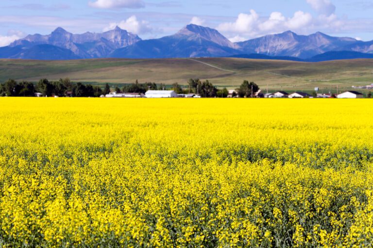 Your Alberta Farmland Appraisal Checklist | Property DNA Group