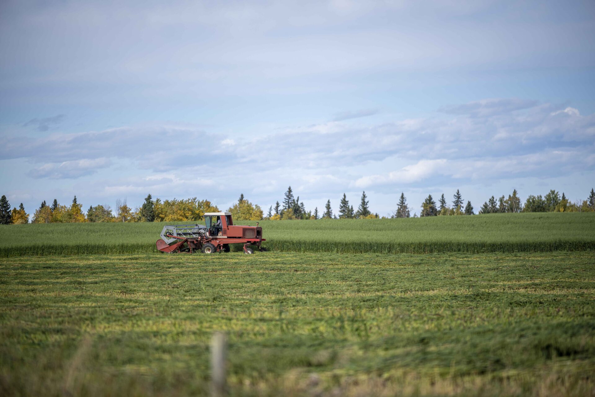 Farm Appraisal in Alberta in 2025: Understanding Farmland Value