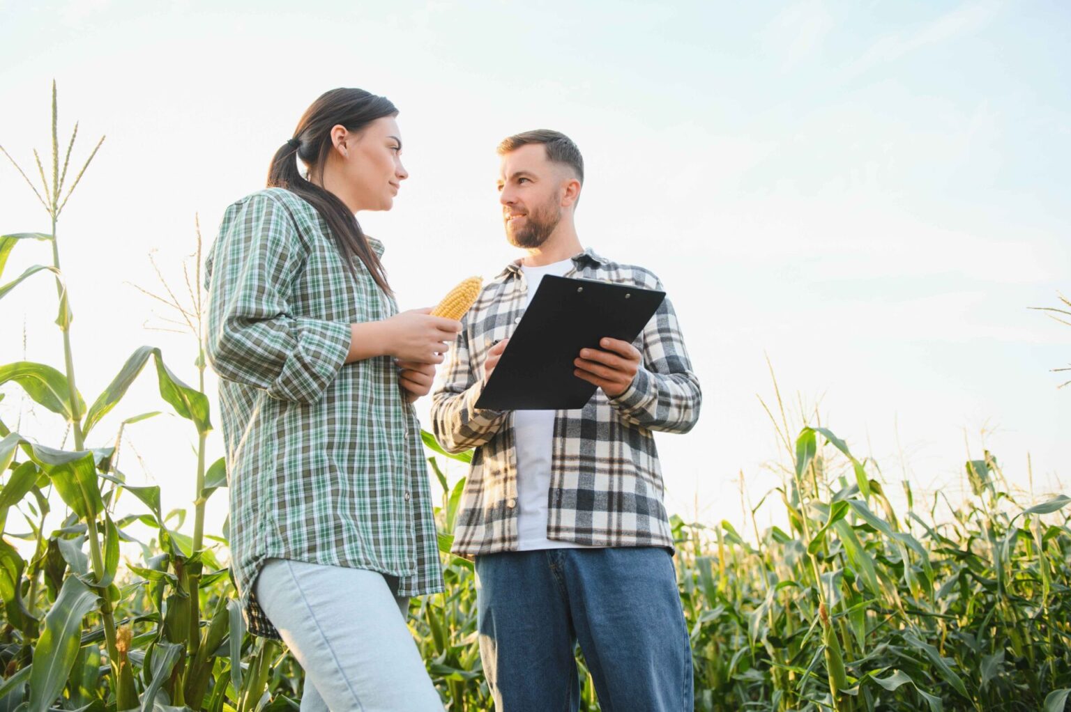Farm Appraisal in Alberta in 2025: Understanding Farmland Value